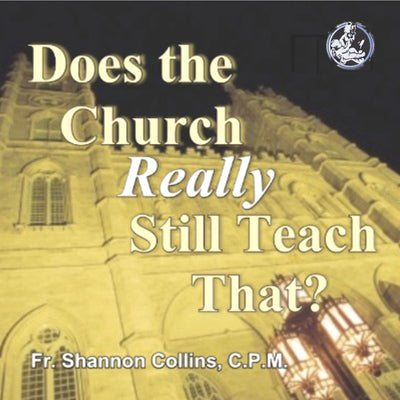 Does the Church Really Still Teach That? - Fr. Shannon Collins ...